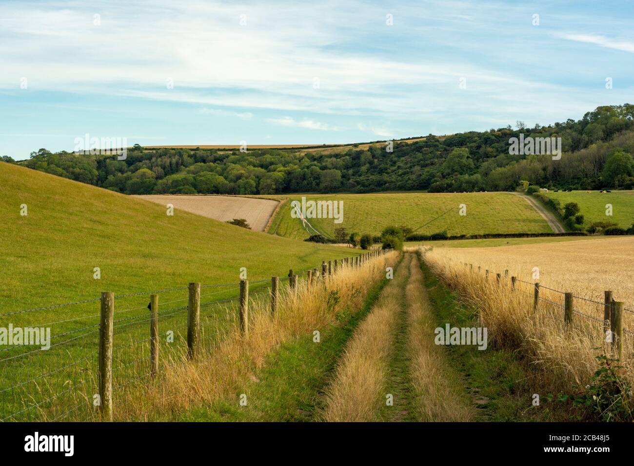Footpath / bridleway / farm track running along Stump Bottom towards ...