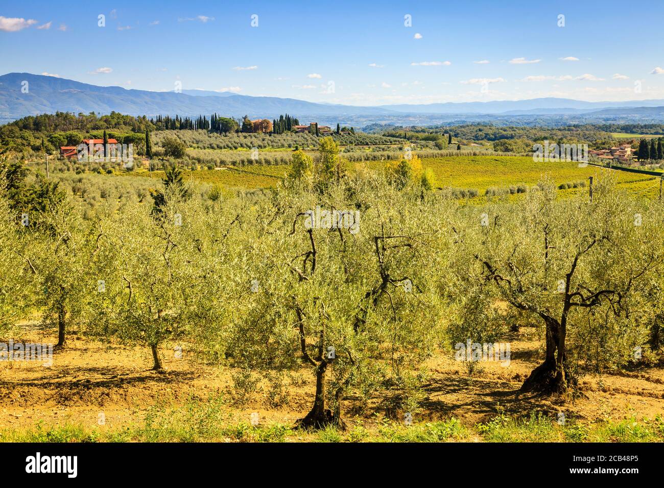 Tuscany landscape trees hi-res stock photography and images - Alamy