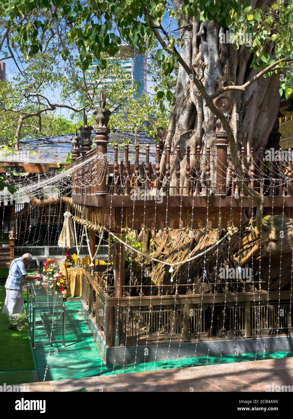 dh Gangaramaya Buddhist Temple COLOMBO CITY SRI LANKA Temples bodhi ...