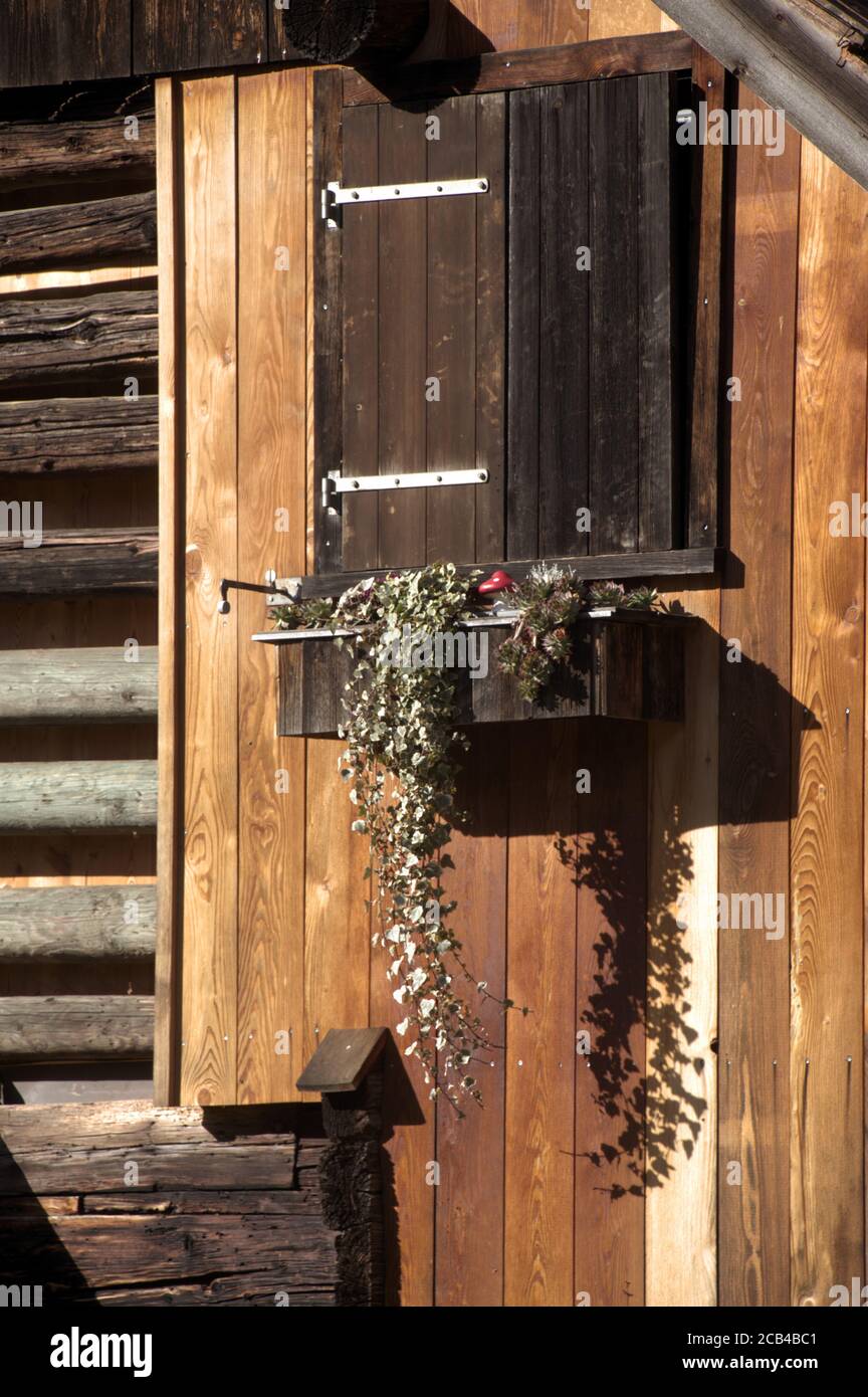 Detail of window-box and woodwork of rustic cottage in the Swiss Alps ...