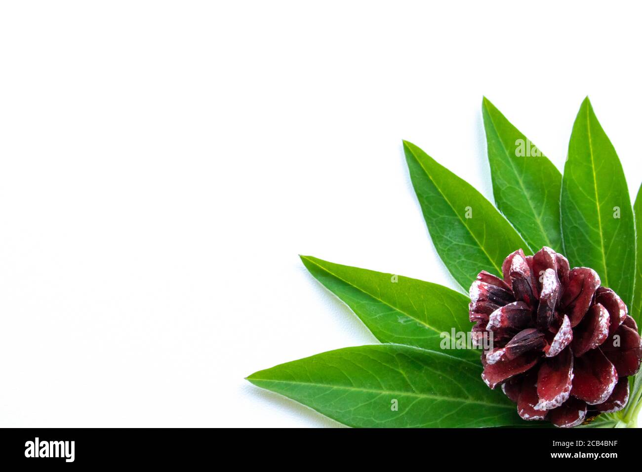 Green bump isolated bump hi-res stock photography and images - Alamy