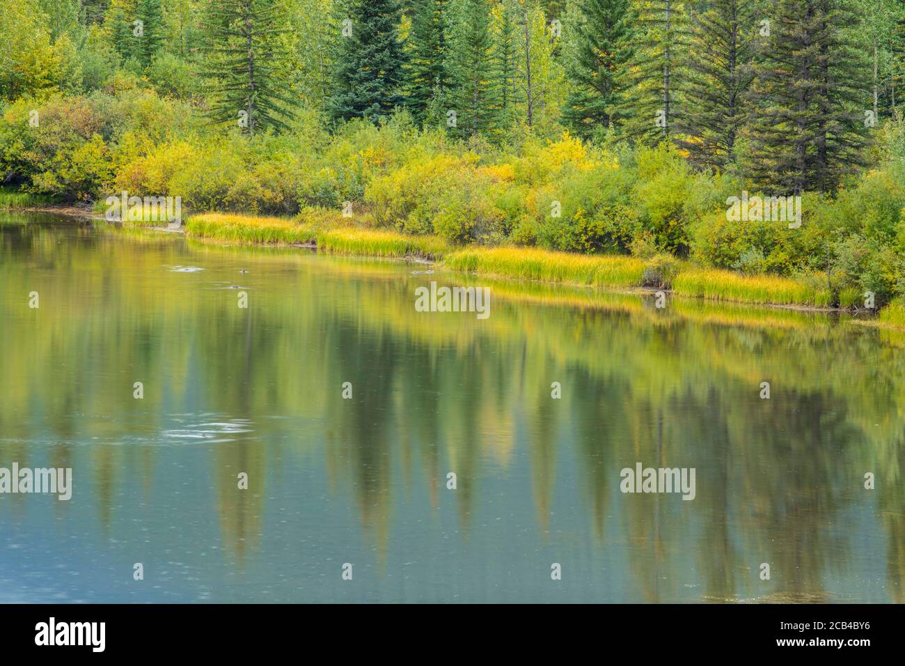 Muleshoe pond hi-res stock photography and images - Alamy