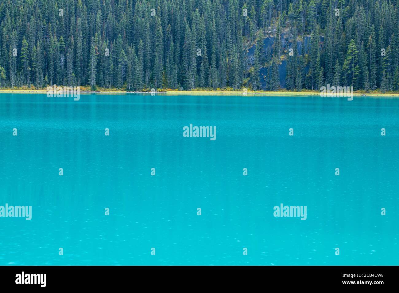 Waterfowl Lake, Banff National Park, Alberta, Canada Stock Photo - Alamy