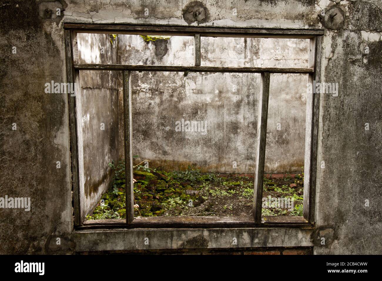 A dirty window in a ruin in the forest Stock Photo - Alamy