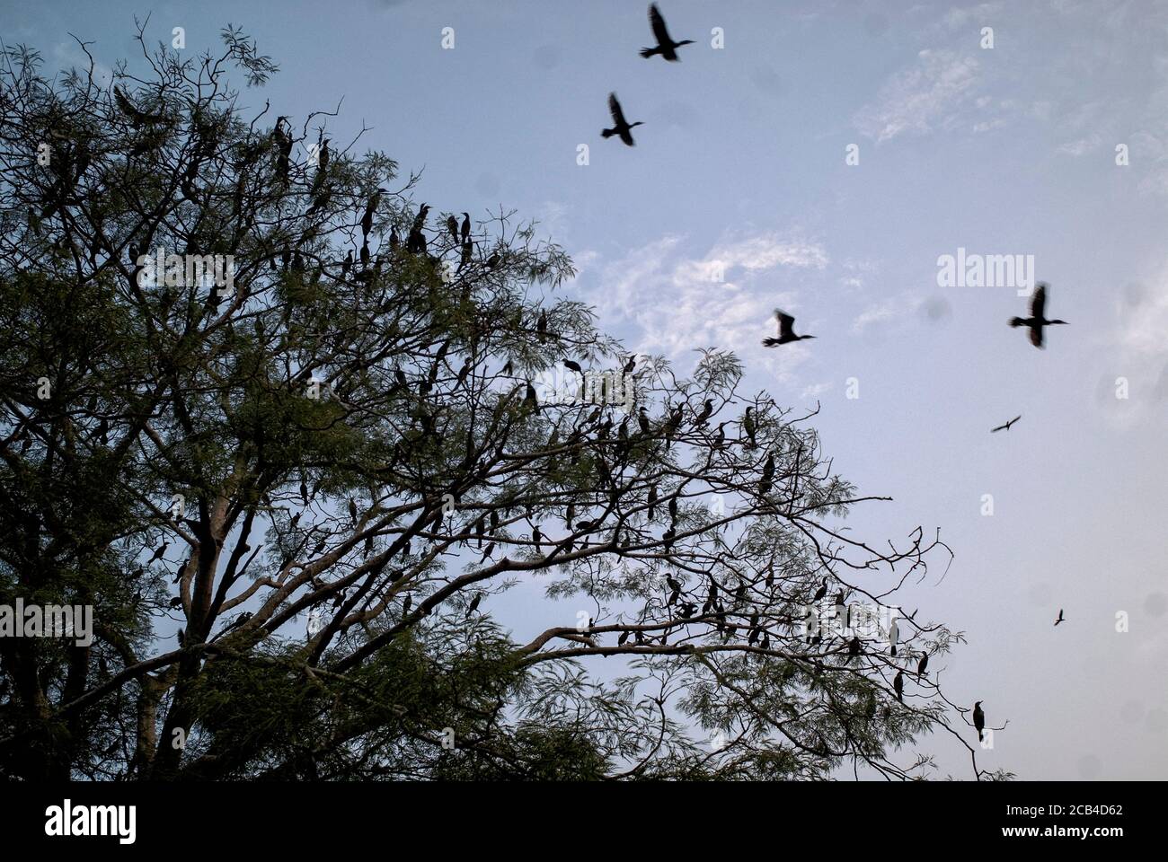 Cerron Grande High Resolution Stock Photography and Images - Alamy