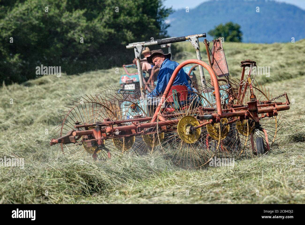 Trossingen, Germany, 06/24/2020. Ecological farmers harvesting hay ...