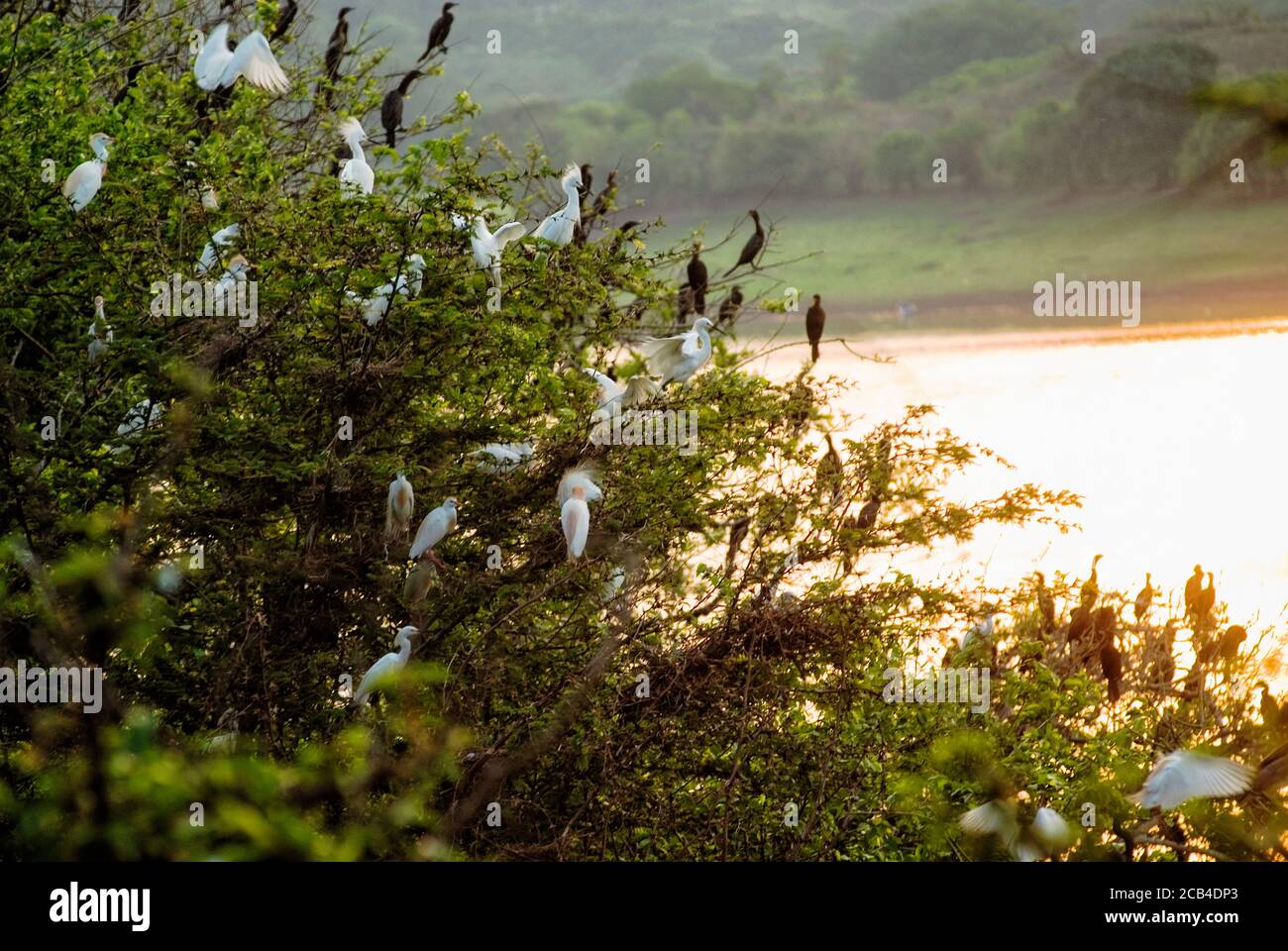 Cerron Grande High Resolution Stock Photography and Images - Alamy