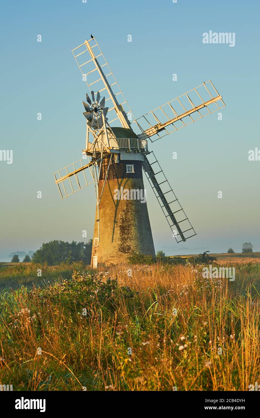 St Benet's Level drainage windmill in the Norfolk Broads early summer ...