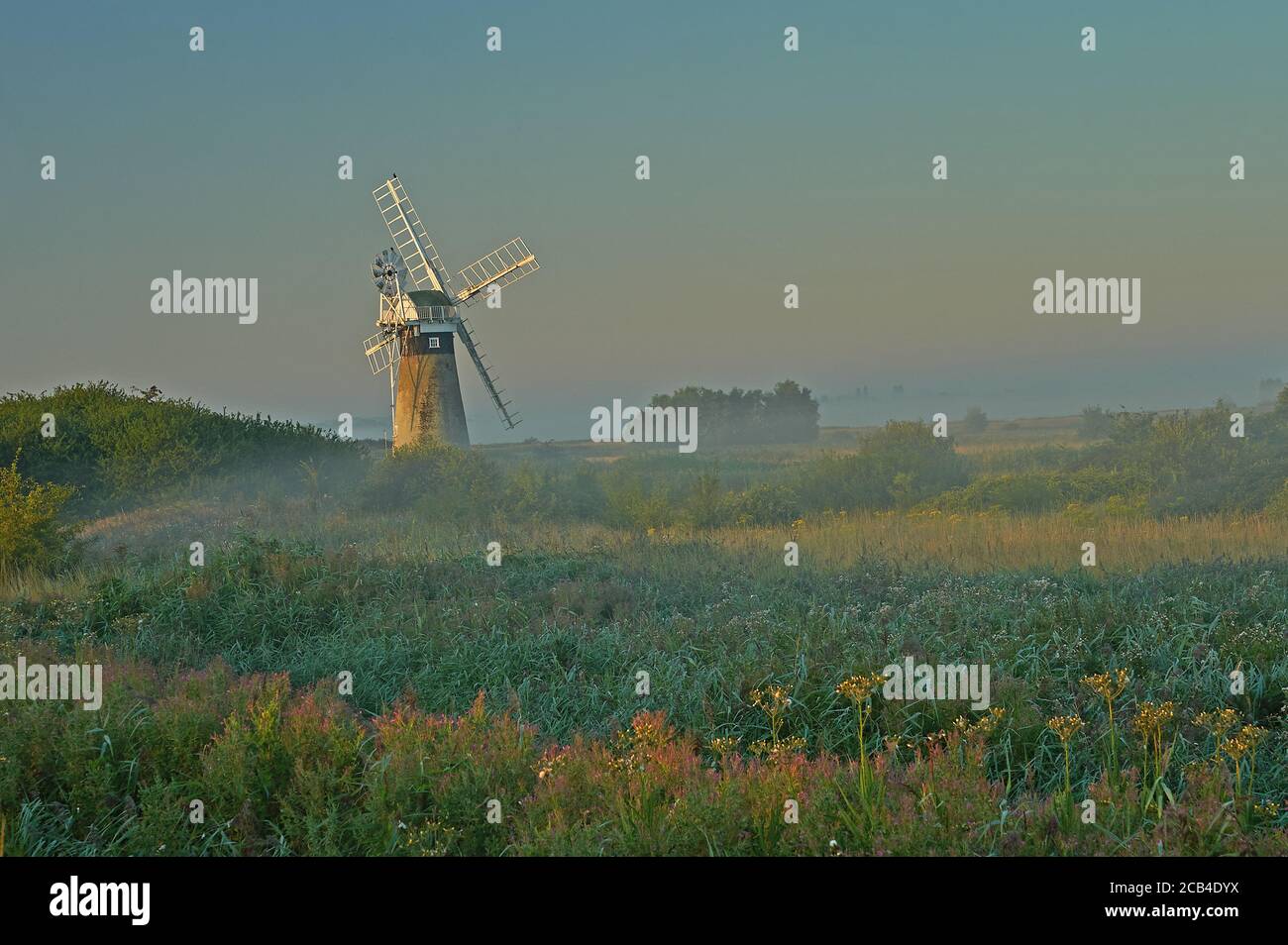 St Benet's Level drainage windmill in the Norfolk Broads early summer ...