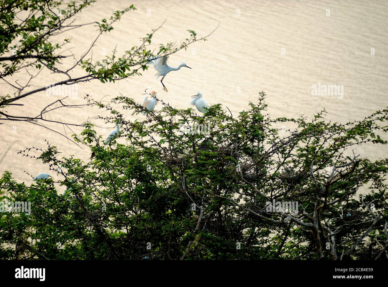 Cerron Grande High Resolution Stock Photography and Images - Alamy