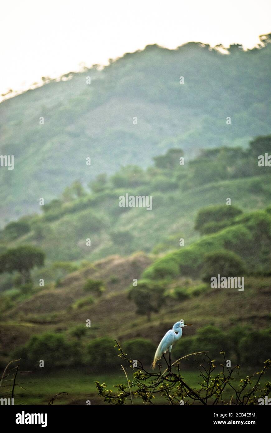 Cerron Grande High Resolution Stock Photography and Images - Alamy