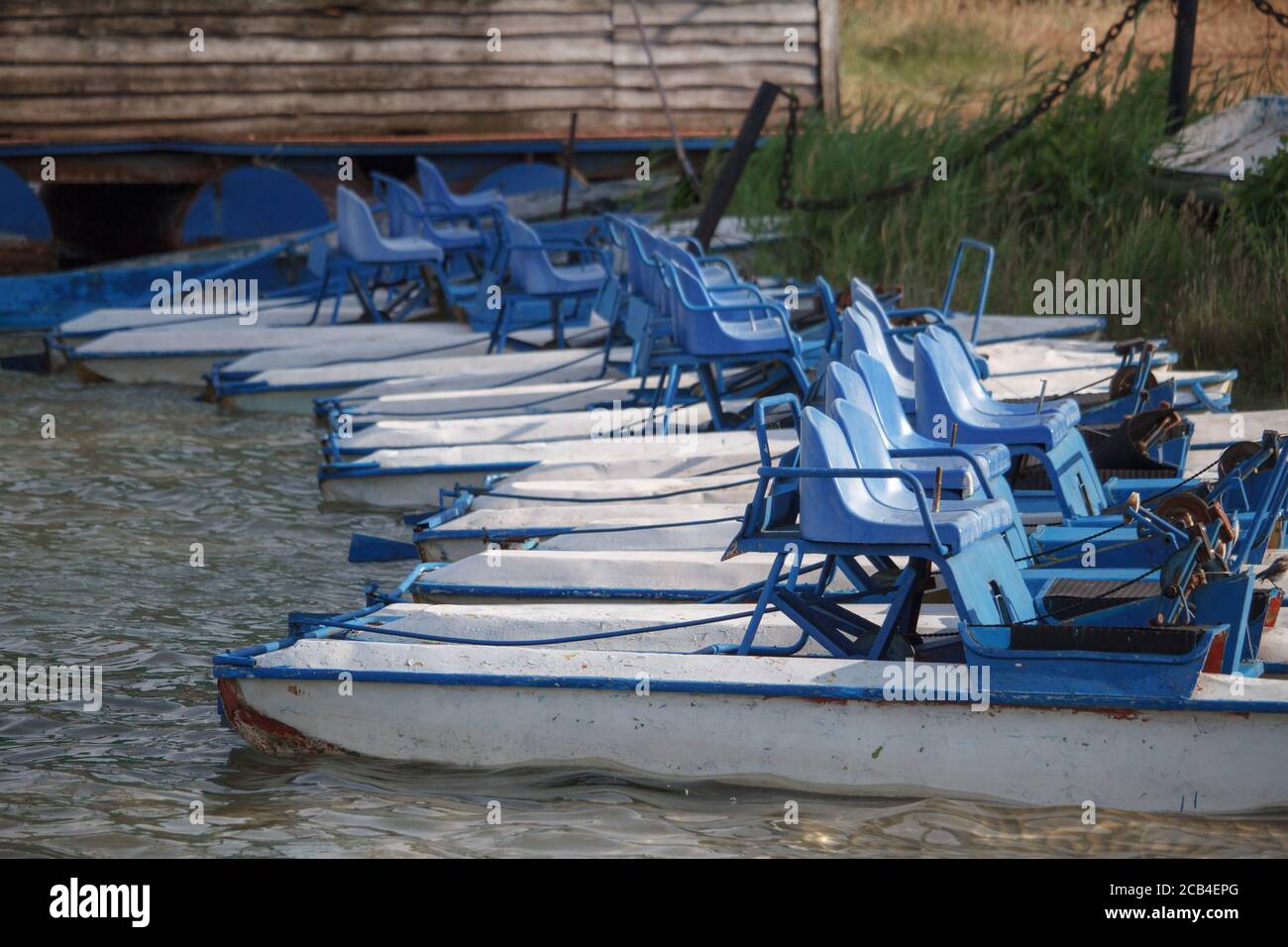 Lot of white blue retro catamarans on sandy beach of lake or river ...