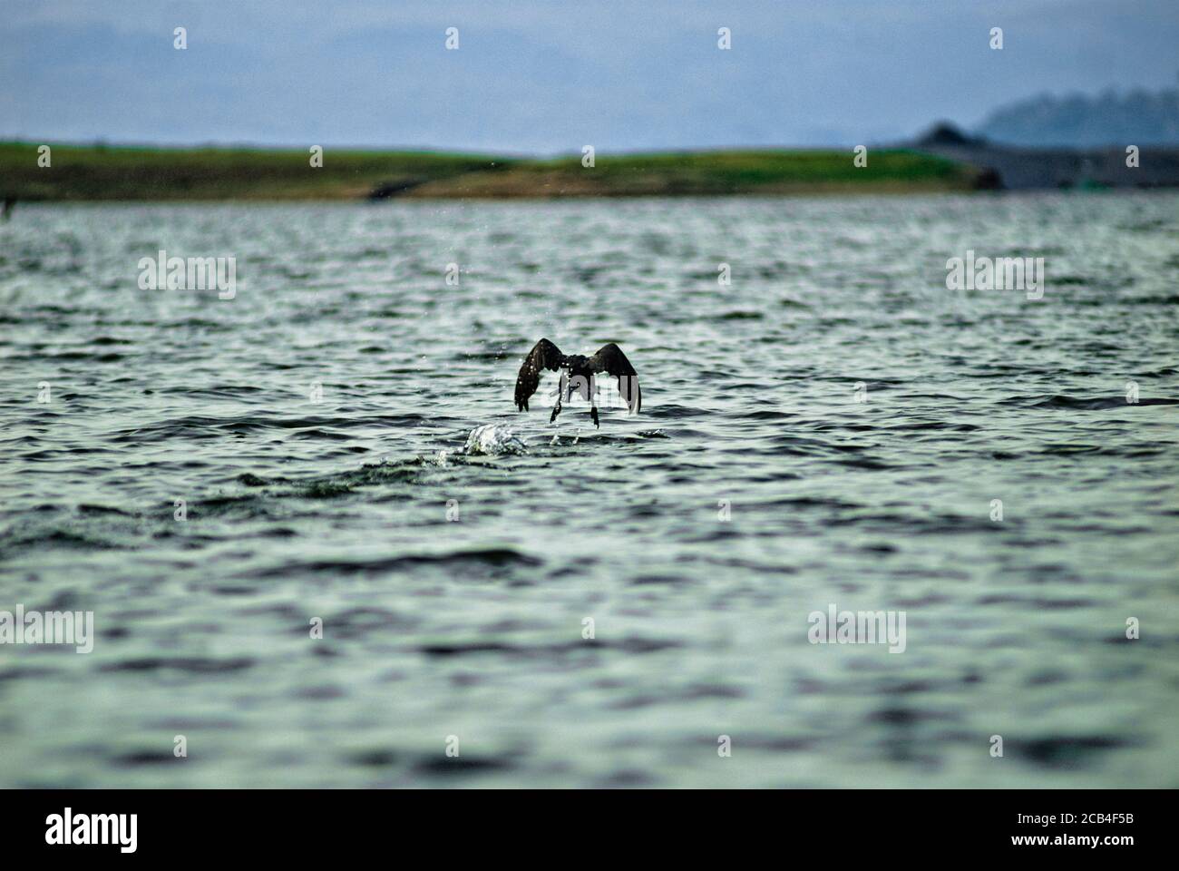 Cerron Grande High Resolution Stock Photography and Images - Alamy