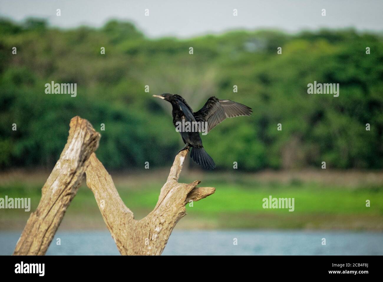 Cerron Grande High Resolution Stock Photography and Images - Alamy