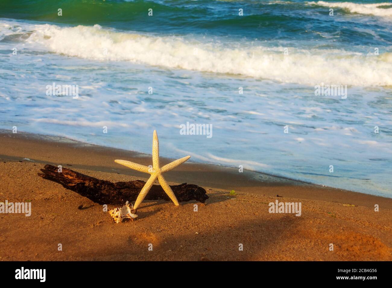 Sea object on the shore with waves background Stock Photo - Alamy