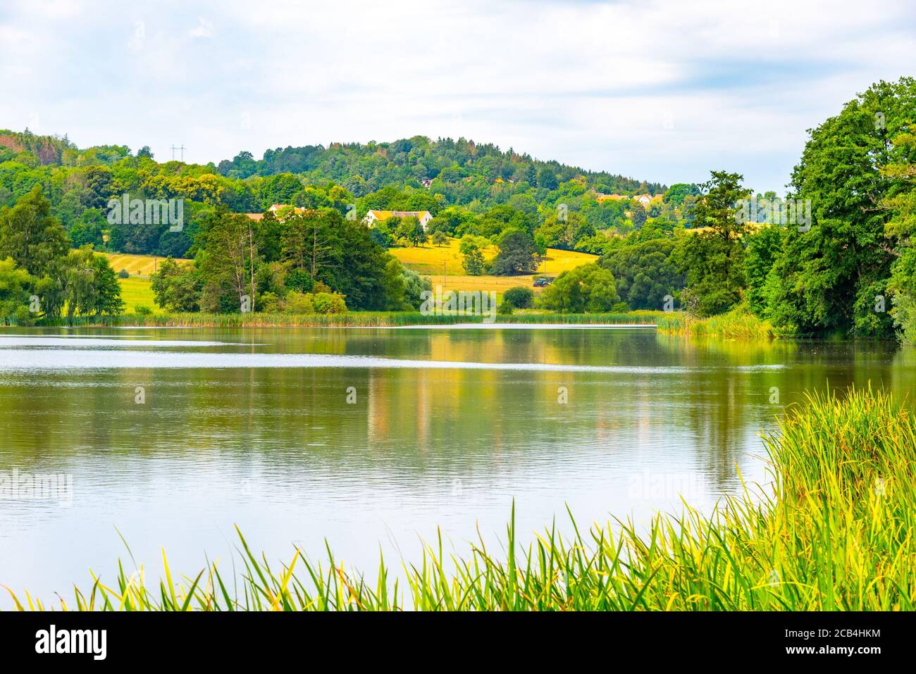 Rural pond in the mddle of green landscape. Southern Bohemia Stock ...