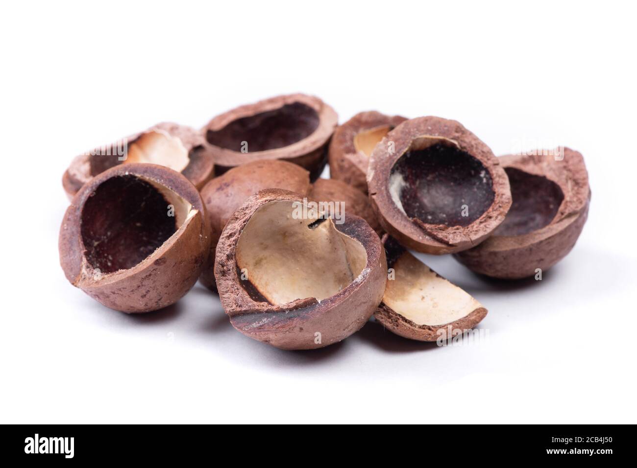 Heap of empty macadamia nut shell isolated on white background Stock ...