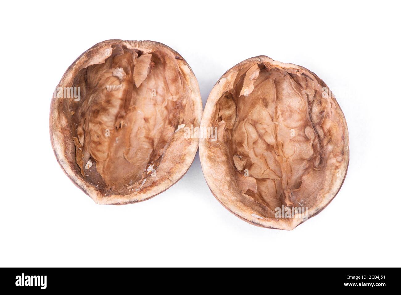 Empty shell of walnut isolated over white background Stock Photo - Alamy