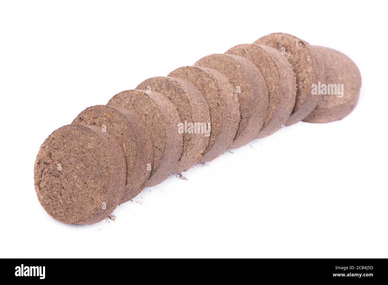 Dry peat pellets, compressed compost tablet isolated over the white ...