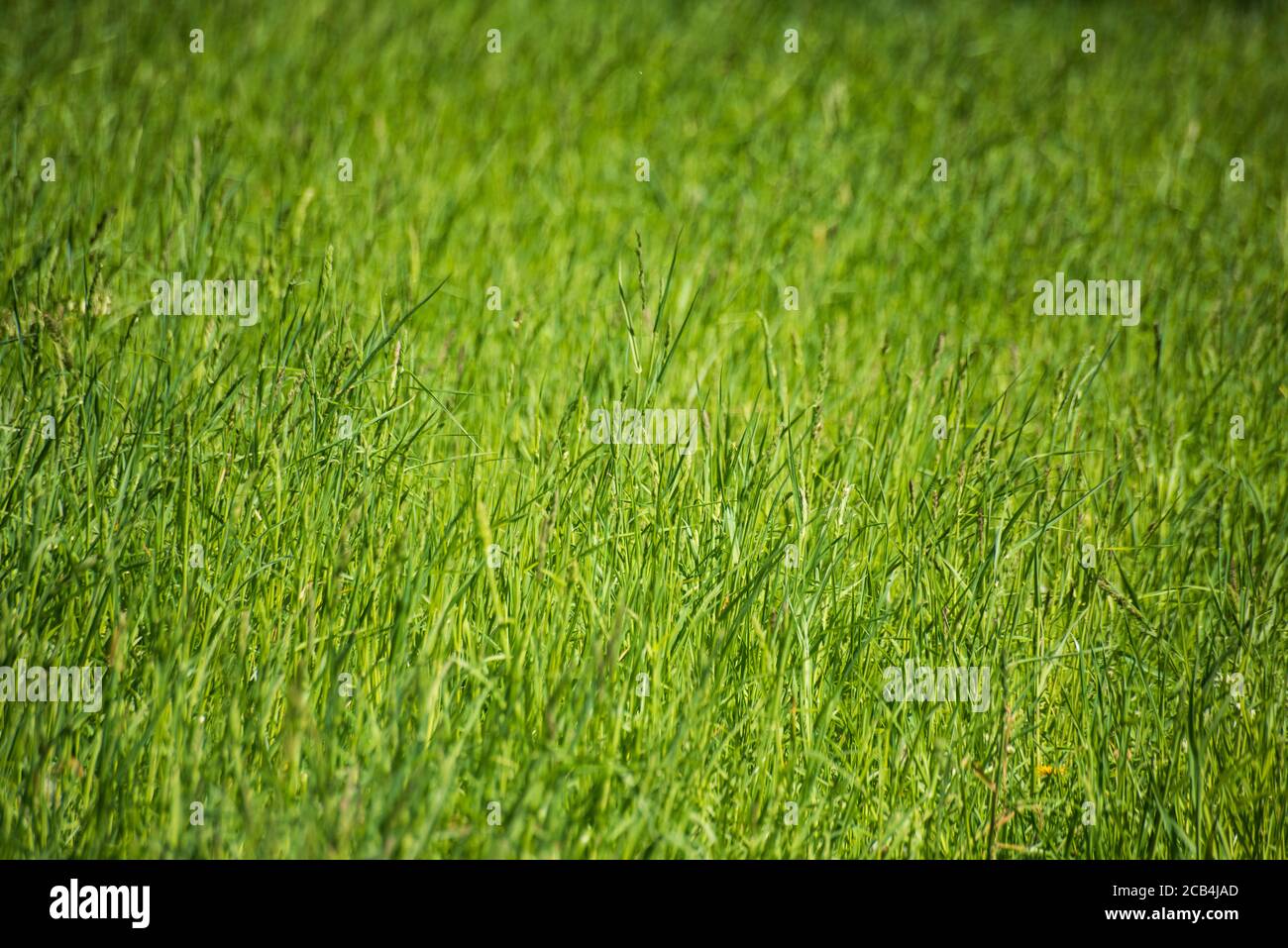 Long side view hi-res stock photography and images - Alamy