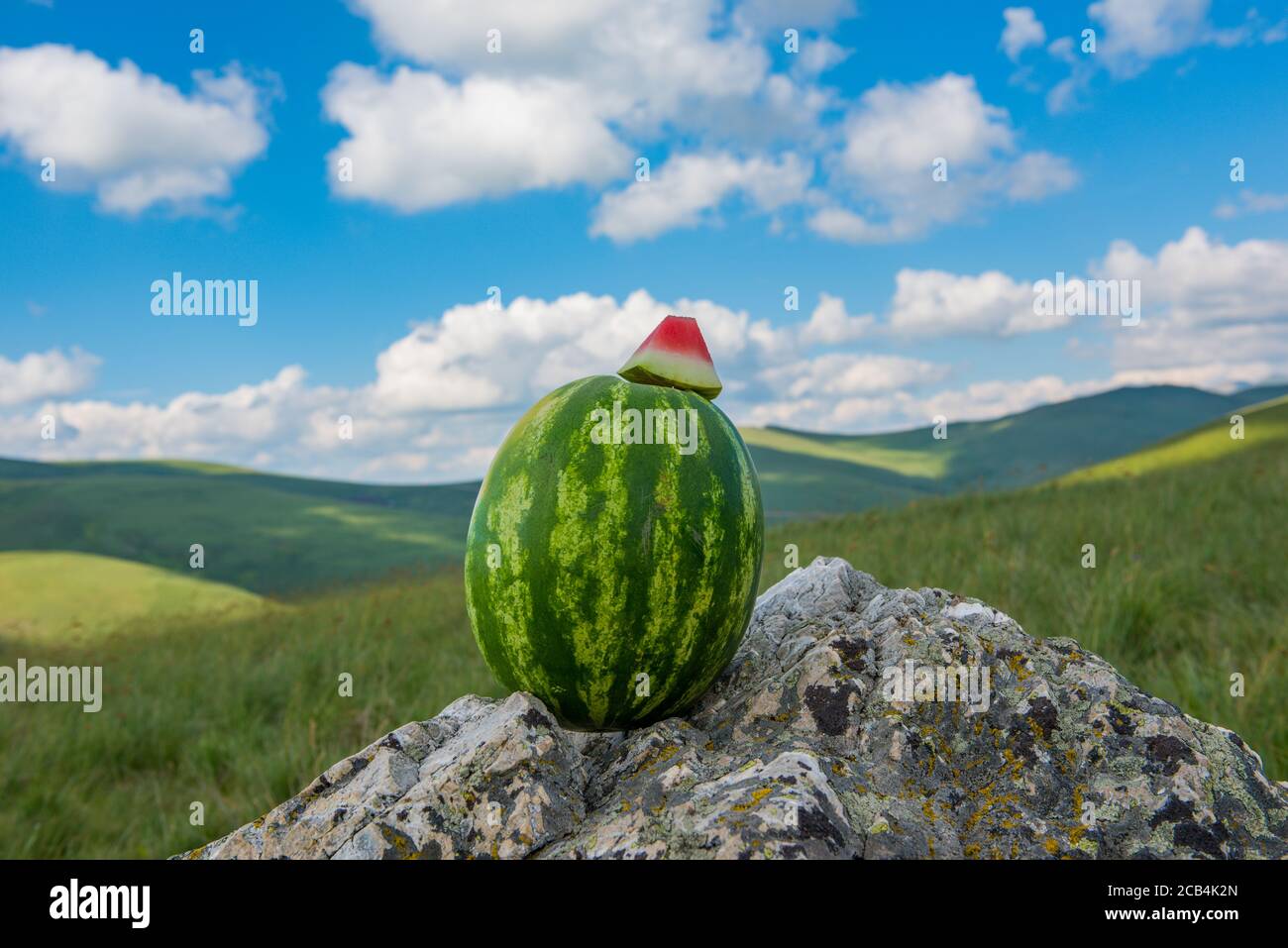 Watermelon wave hi-res stock photography and images - Alamy
