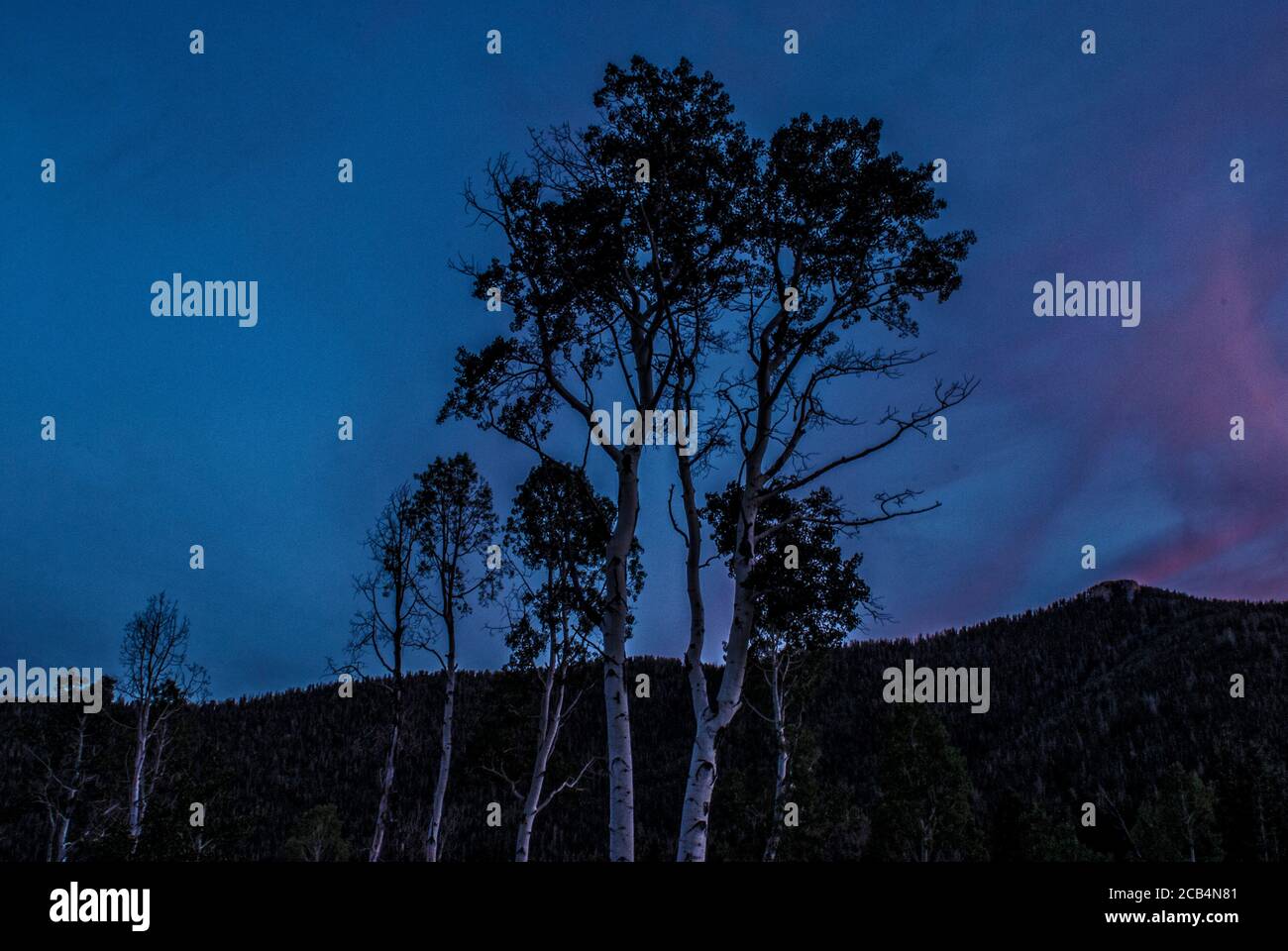 Great basin national park night hi-res stock photography and images - Alamy