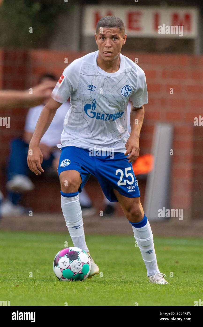Amine HARIT (GE) with ball, single action with ball, action, whole ...