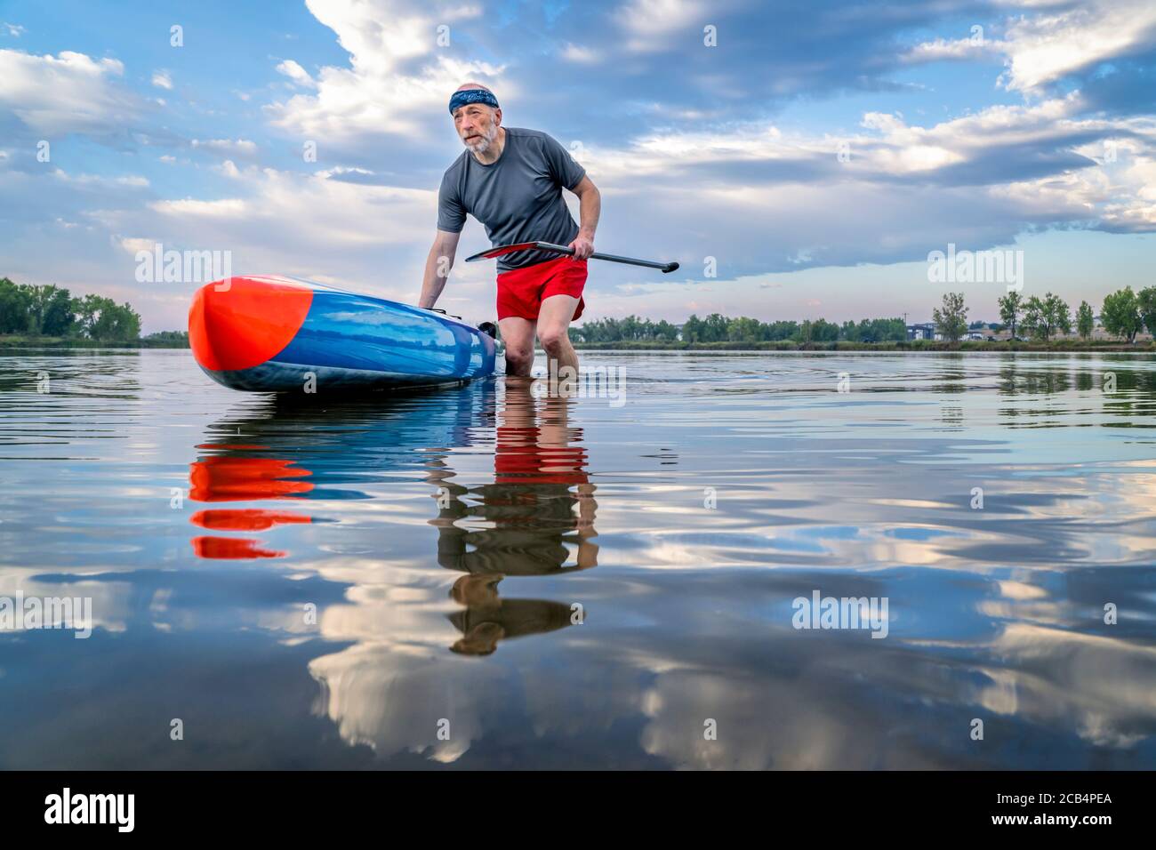 senior male stand up paddler is launching his paddleboard on a lake for ...