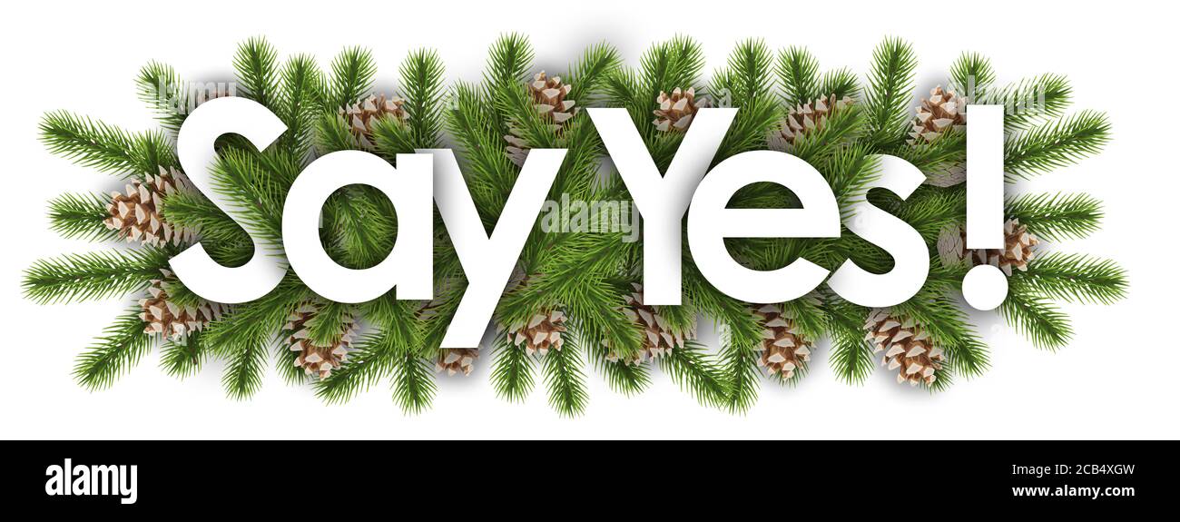 Say Yes in christmas background - pine branchs Stock Photo - Alamy