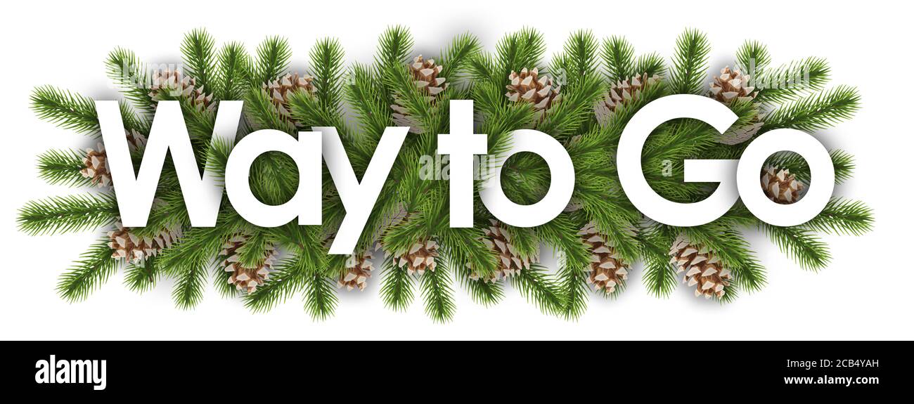 Way to Go in christmas background - pine branchs Stock Photo - Alamy