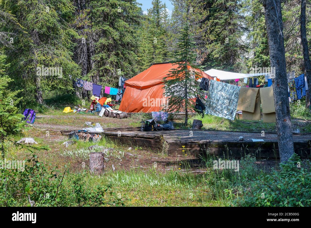 Wilderness campsite in Yoho National Park, British Columbia Canada ...
