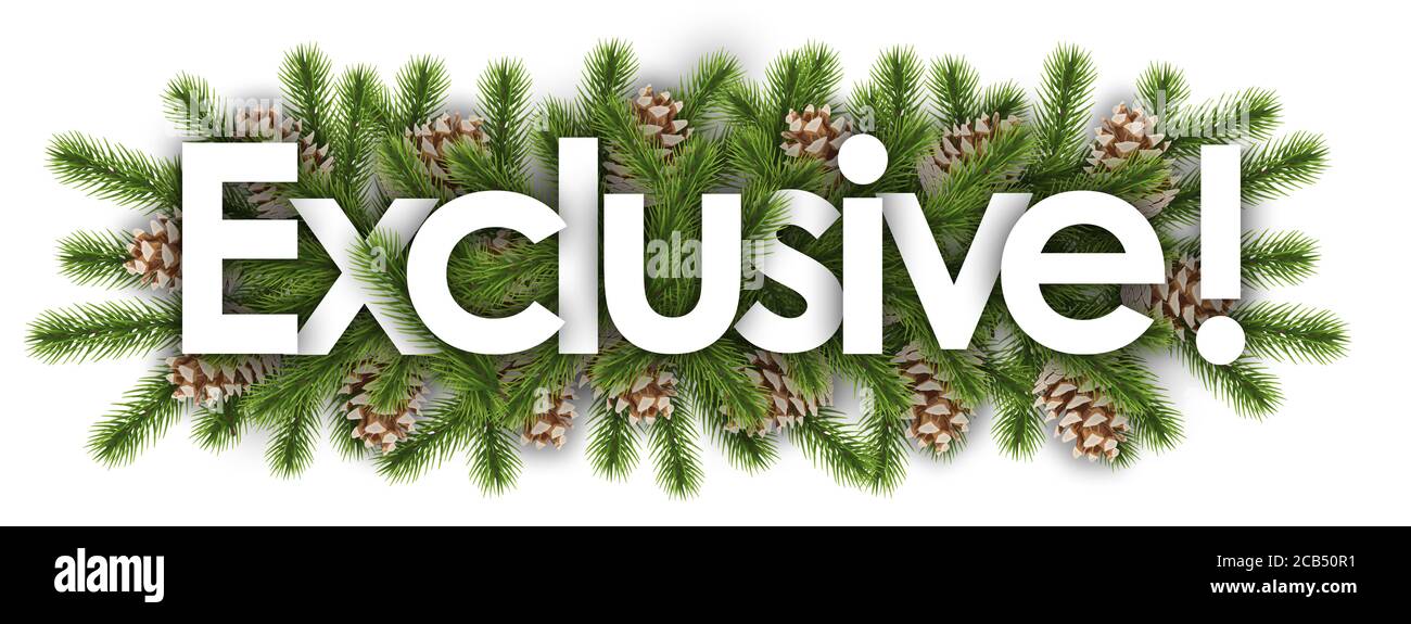 Exclusive in christmas background - pine branchs Stock Photo - Alamy