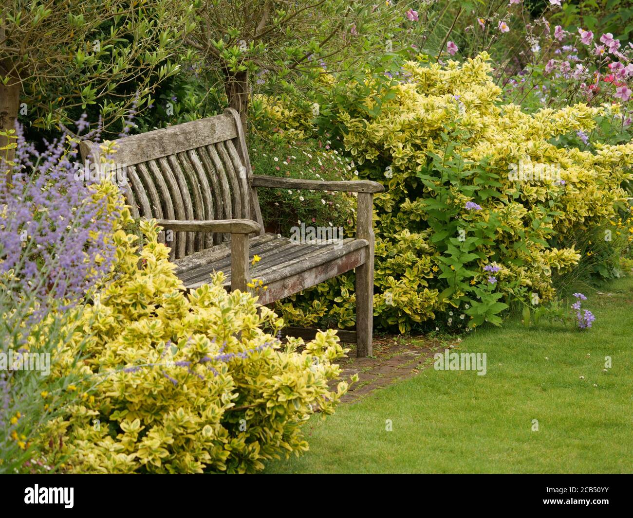 Wooden bench in a beautiful garden captured during the daytime Stock ...