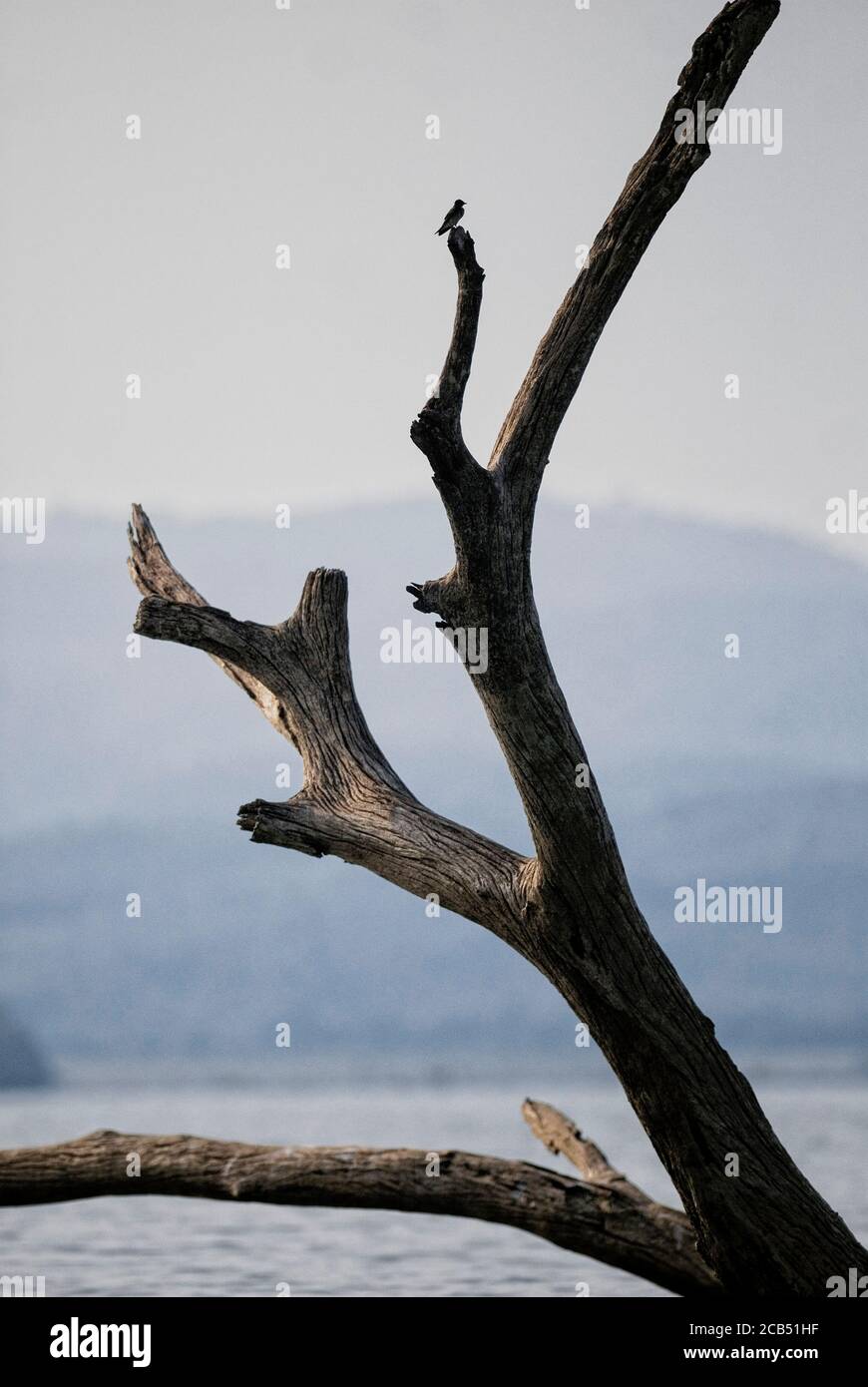 Cerron Grande High Resolution Stock Photography and Images - Alamy