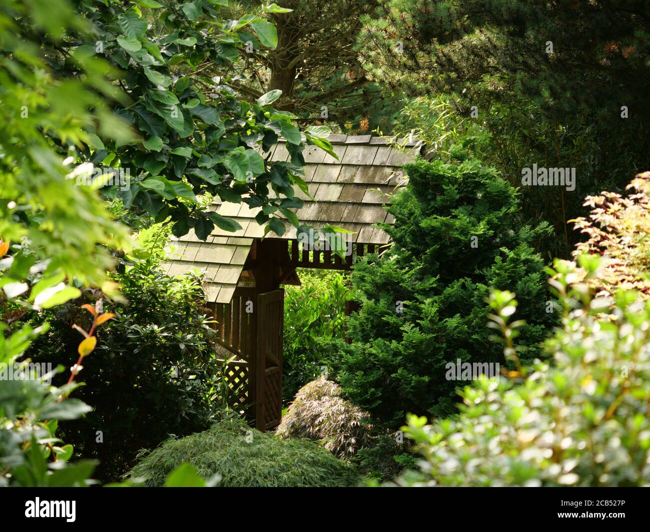 Entrance gate pine forest hi-res stock photography and images - Alamy