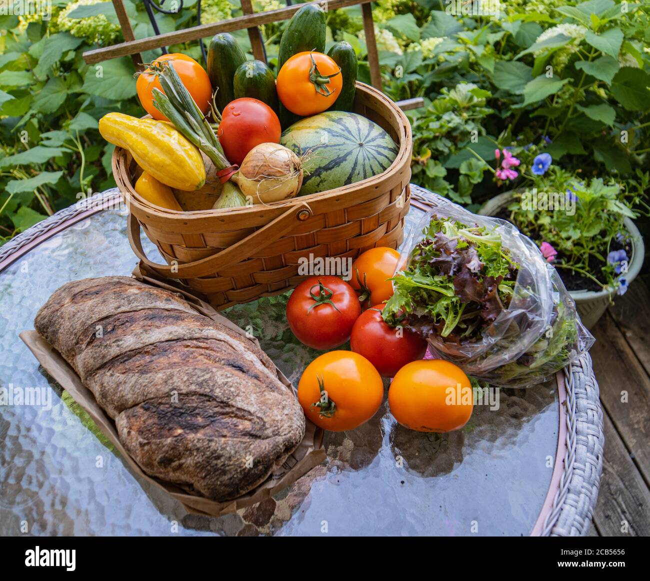 Cantaloupe melon farm hi-res stock photography and images - Alamy