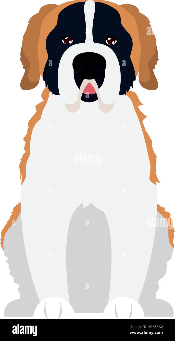 cartoon st bernard dog icon over white background, flat style, vector ...