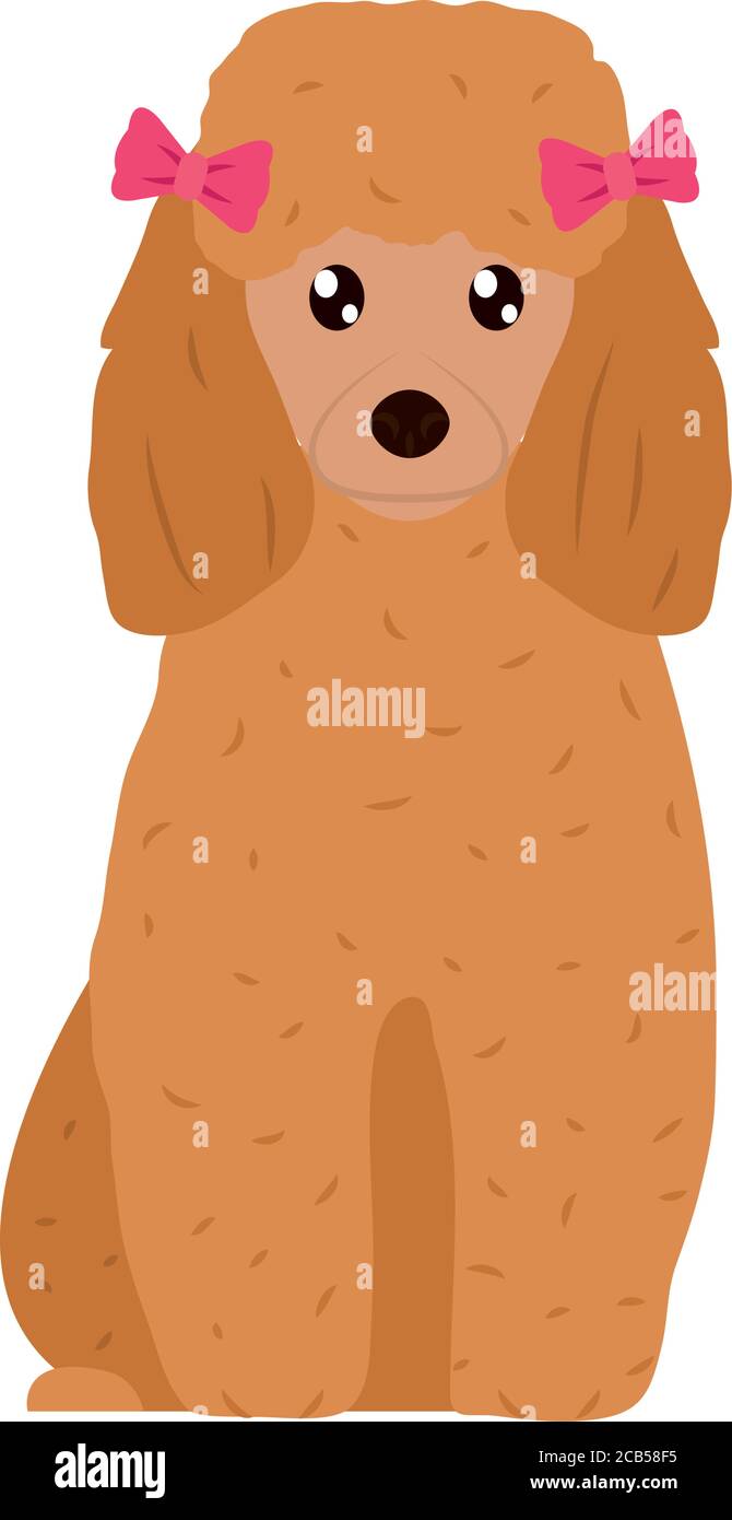 cartoon cocker spaniel dog icon over white background, flat style ...