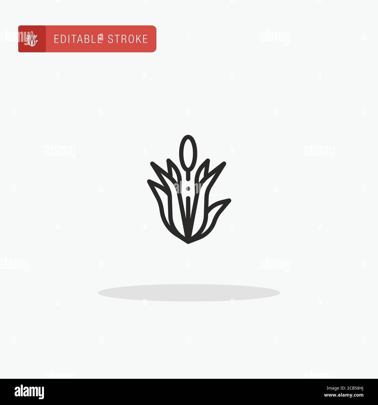 Calamus icon vector. Calamus icon for presentation Stock Vector Image ...