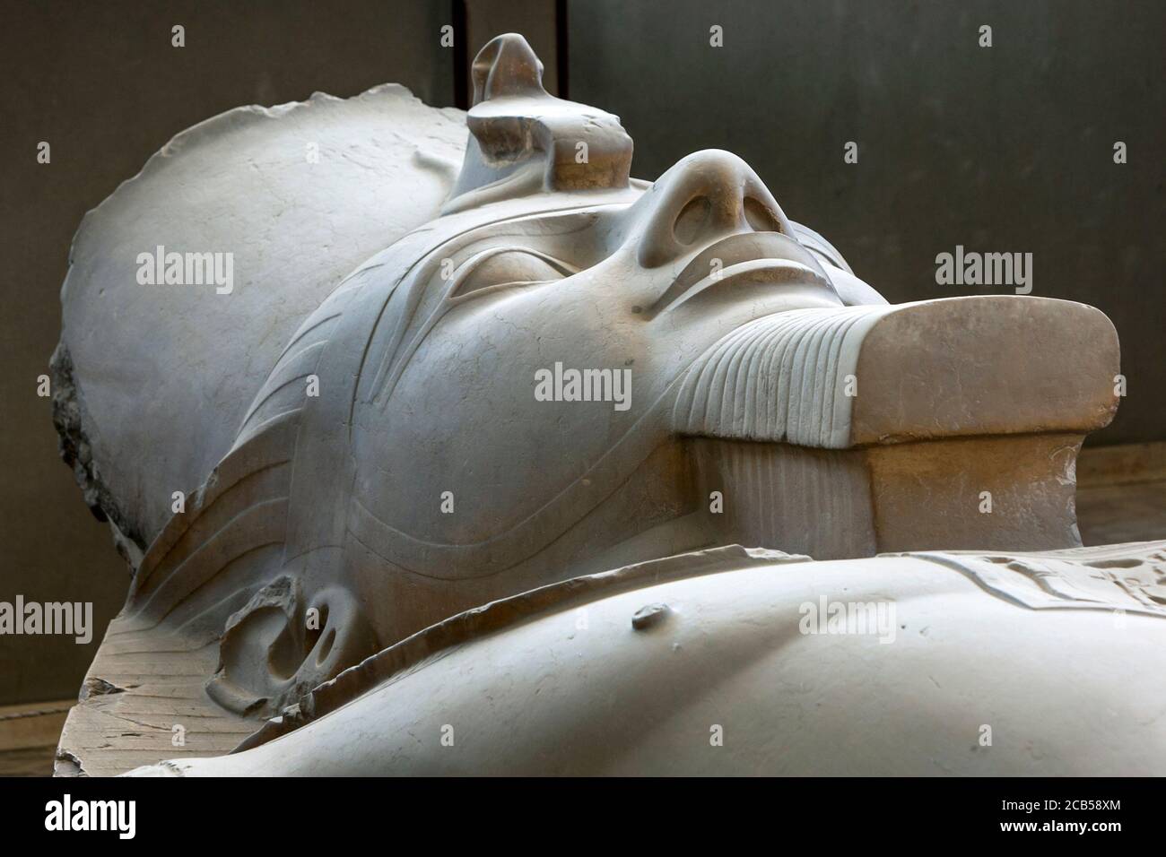 The colossal carved limestone head of Pharaoh Ramesses ll on display ...