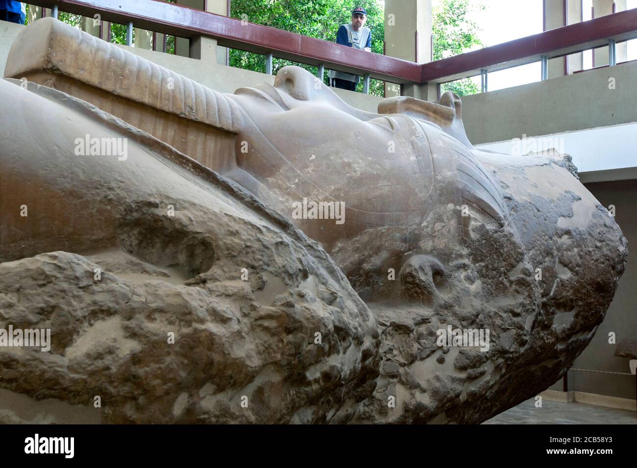 The colossal carved limestone head of Pharaoh Ramesses ll on display ...