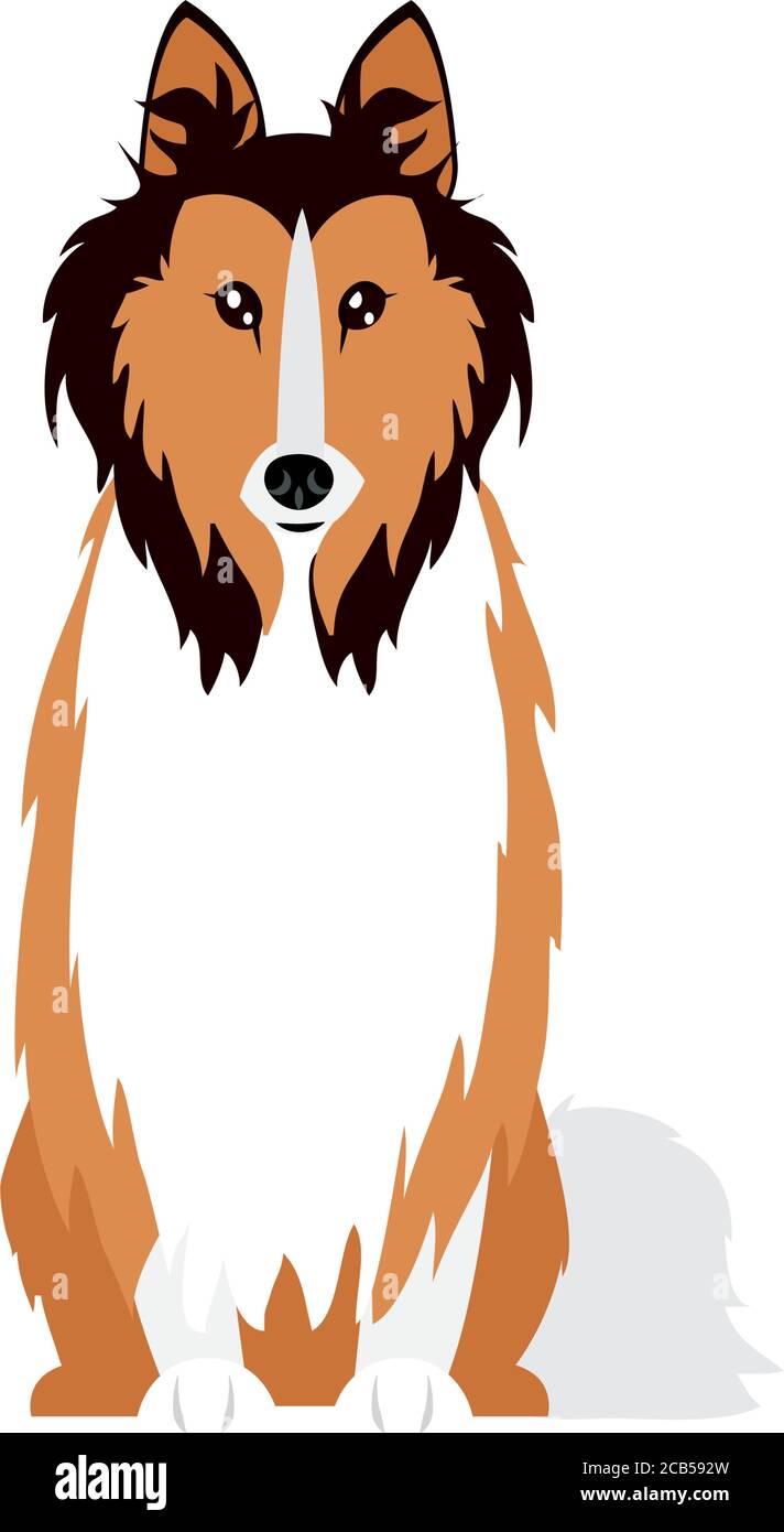 collie dog icon over white background, flat style, vector illustration ...