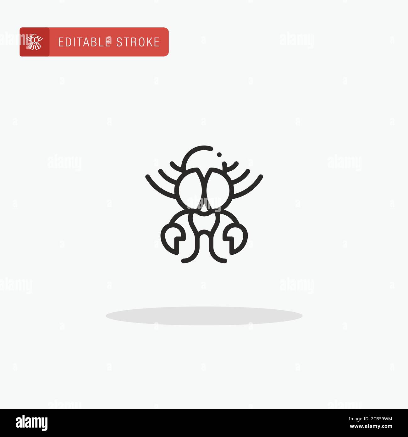 Walnut presentation Stock Vector Images - Alamy