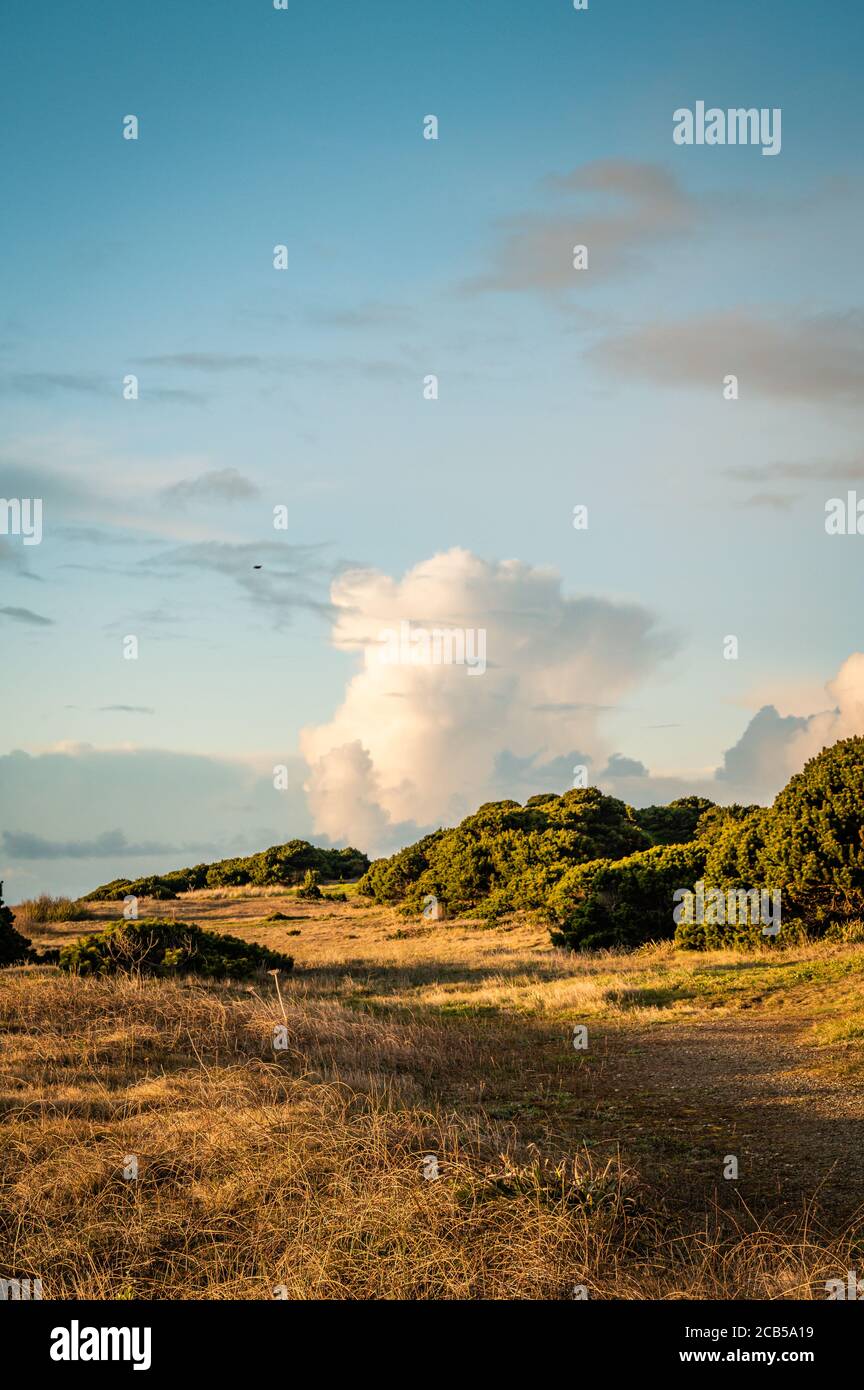 Cloud Cloudy Weather Vertical High Resolution Stock Photography and ...