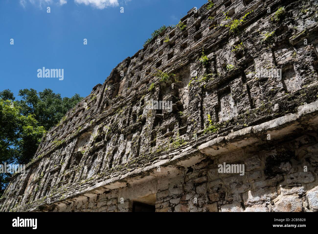 The roof comb of Temple 33 in the ruins of the Mayan city of Yaxchilan ...