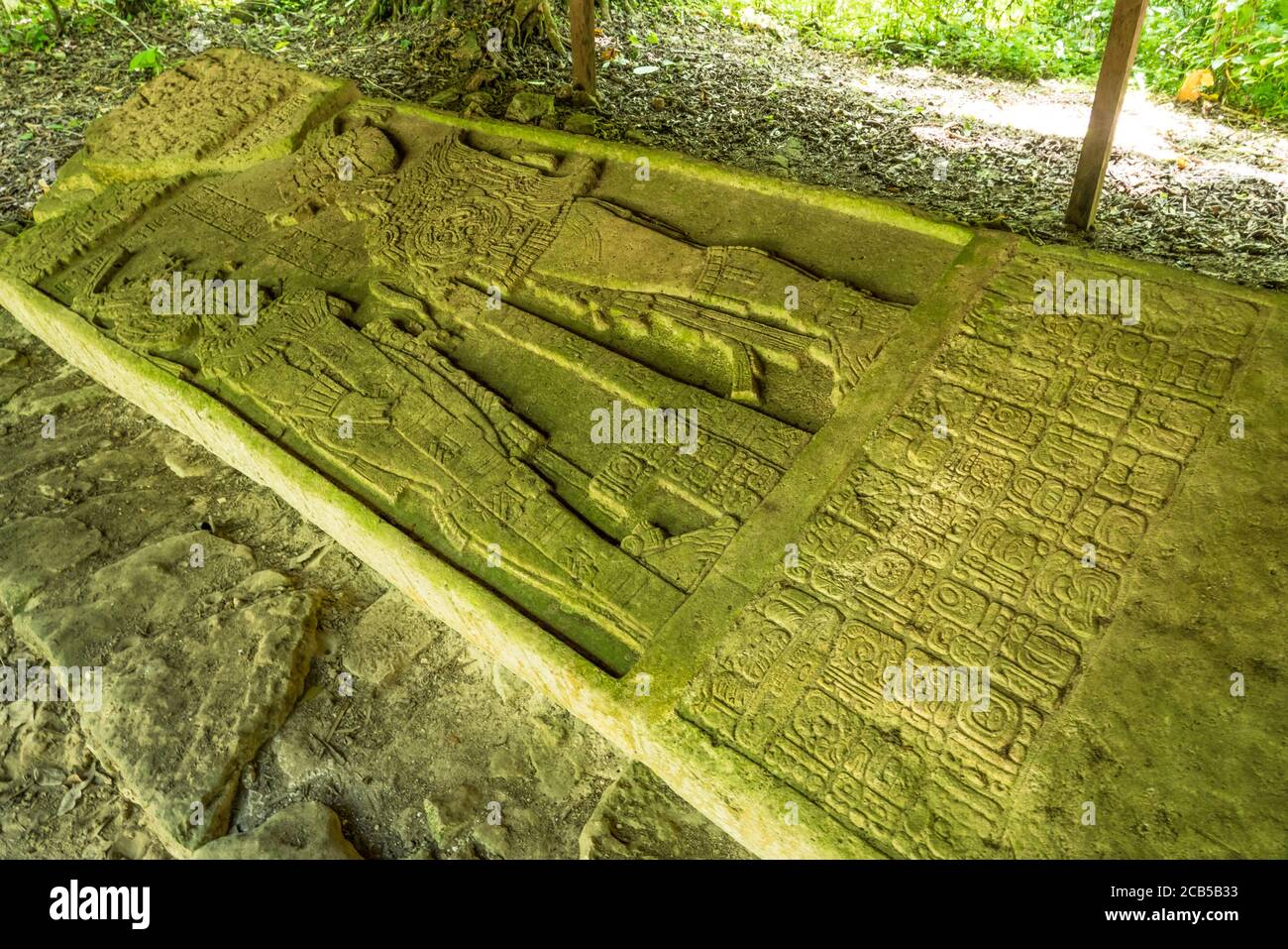 Stela 11 showing Bird Jaguar and Shield Jaguar IV in the ruins of the ...