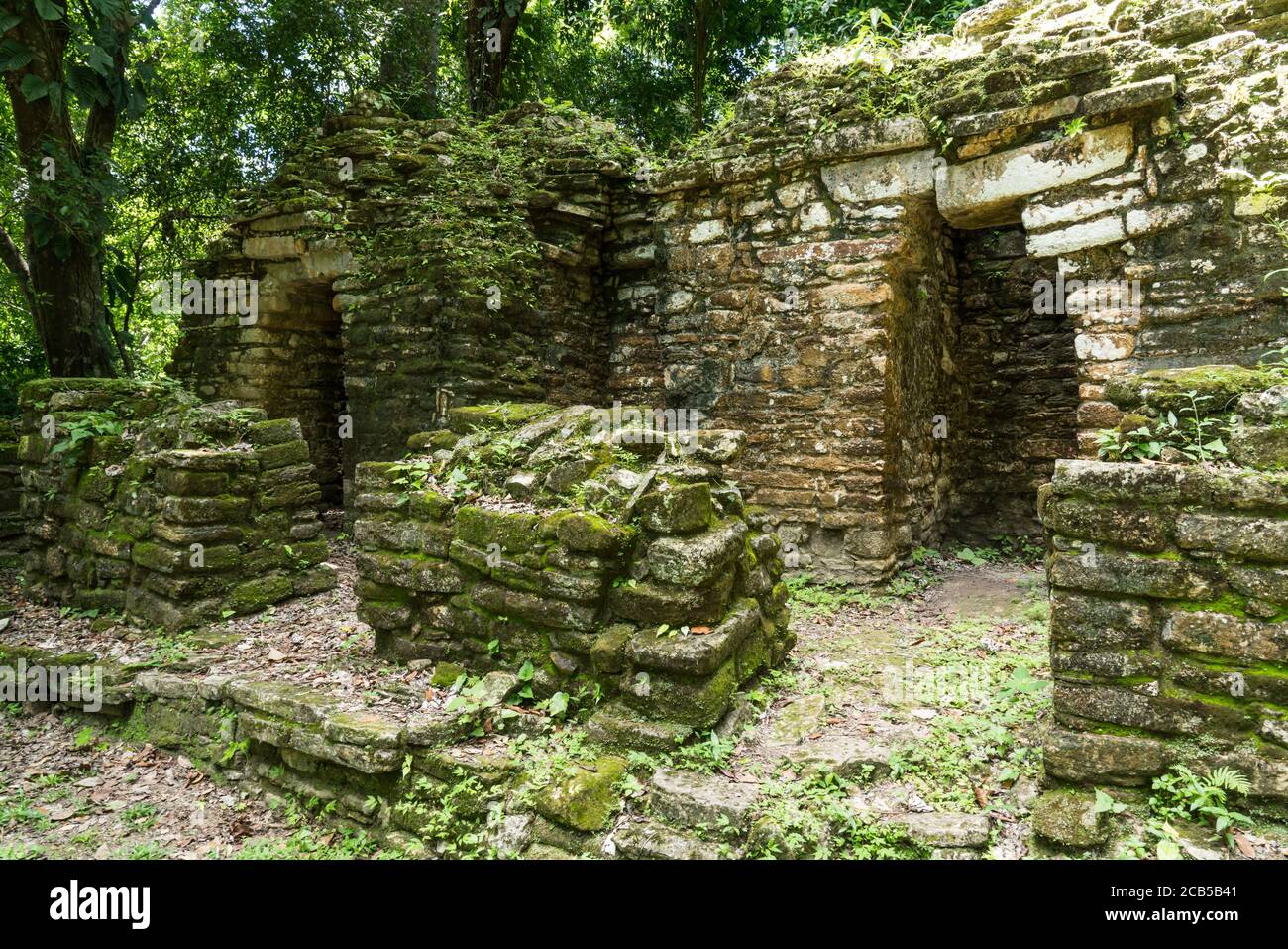 Building 26 in the ruins of the Mayan city of Yaxchilan on the ...