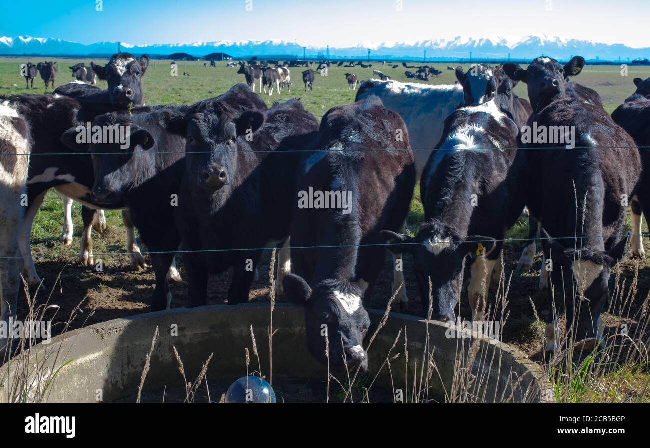 Fart tax hi-res stock photography and images - Alamy