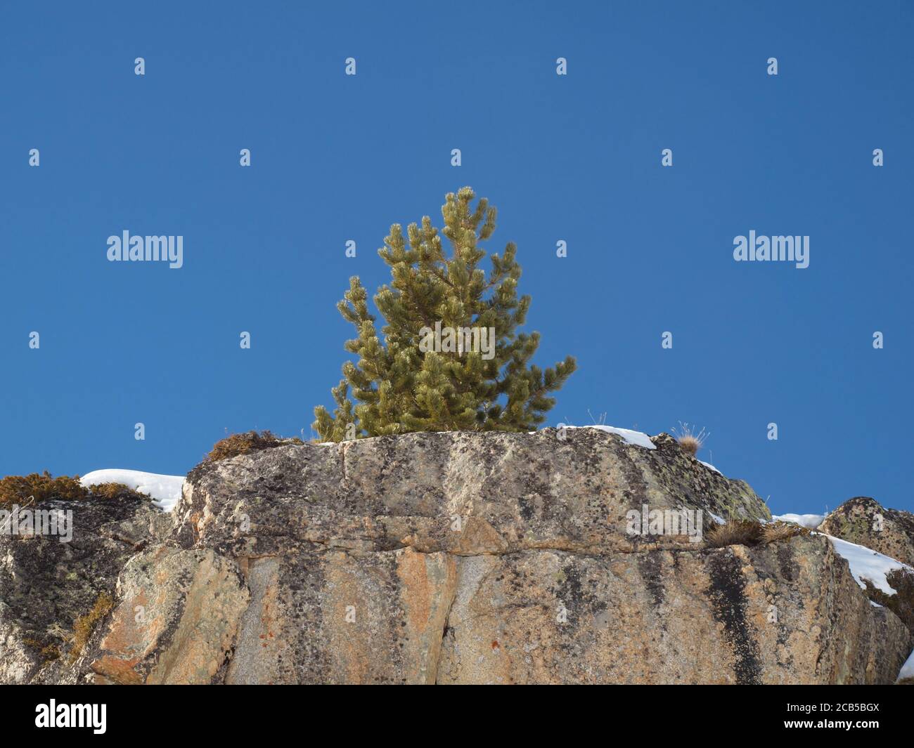A cliff on a snowy slope against the blue sky with a lone tree on top ...