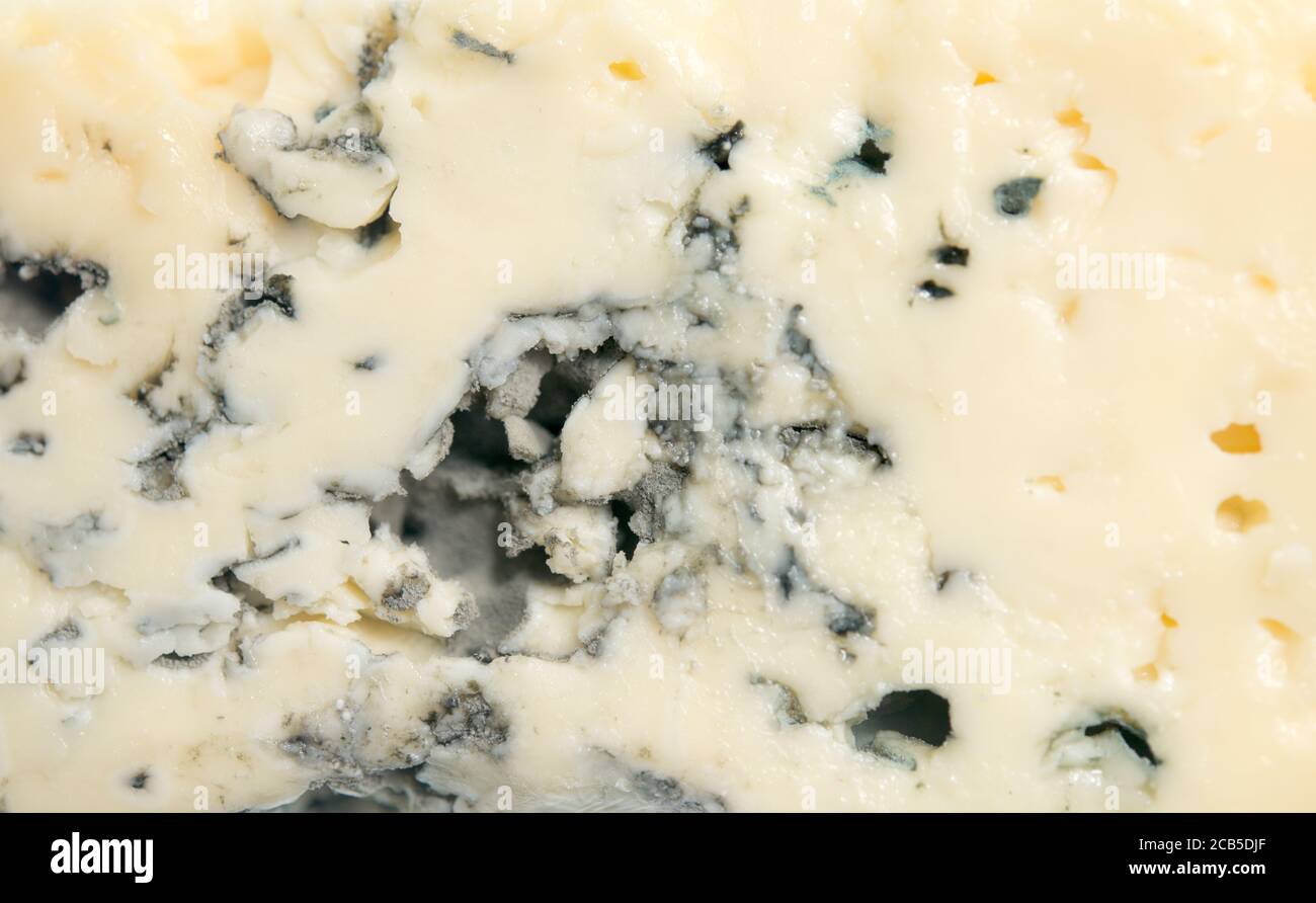 Blue cheese background Stock Photo - Alamy
